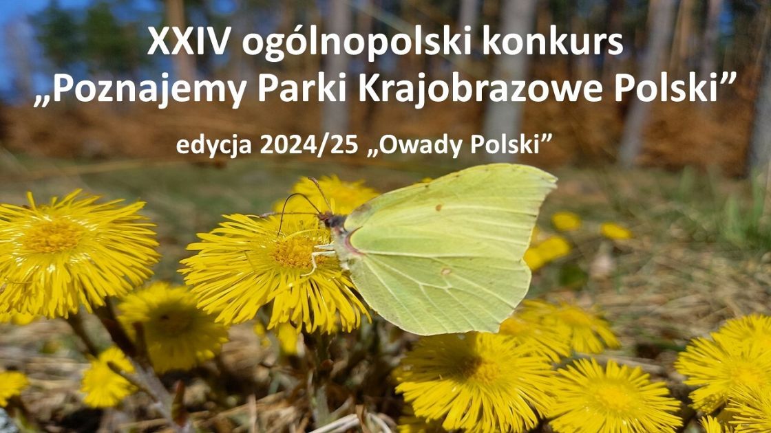 Xxiv Konkurs Poznajemy Parki Krajobrazowe Polski Pn. "owady Polski"